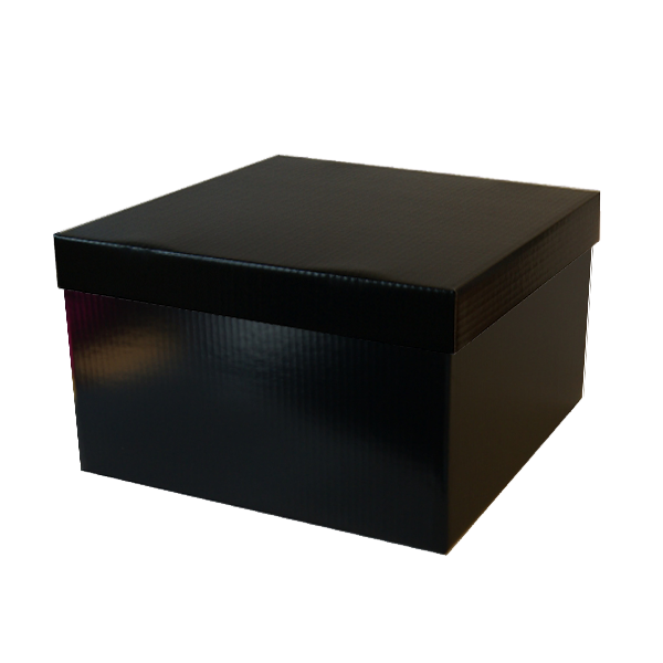 Balloon Box (Pack of 12) — BoxMart