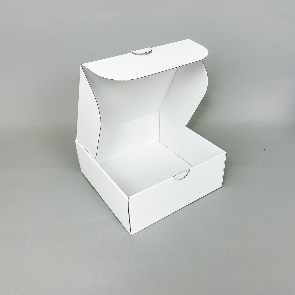 Ecommerce Postal Box 21x21x8.5cm (Pack of 25) — BoxMart